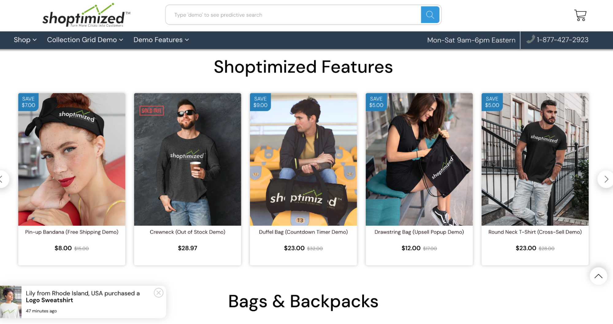 10 Best Shopify Themes for Dropshipping in Q4/2024: Boost Sales ...