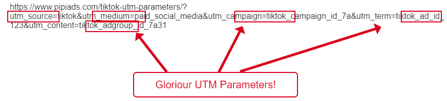TikTok UTM parameters: Track and Optimize Your TikTok Ads - OmegaTheme.com
